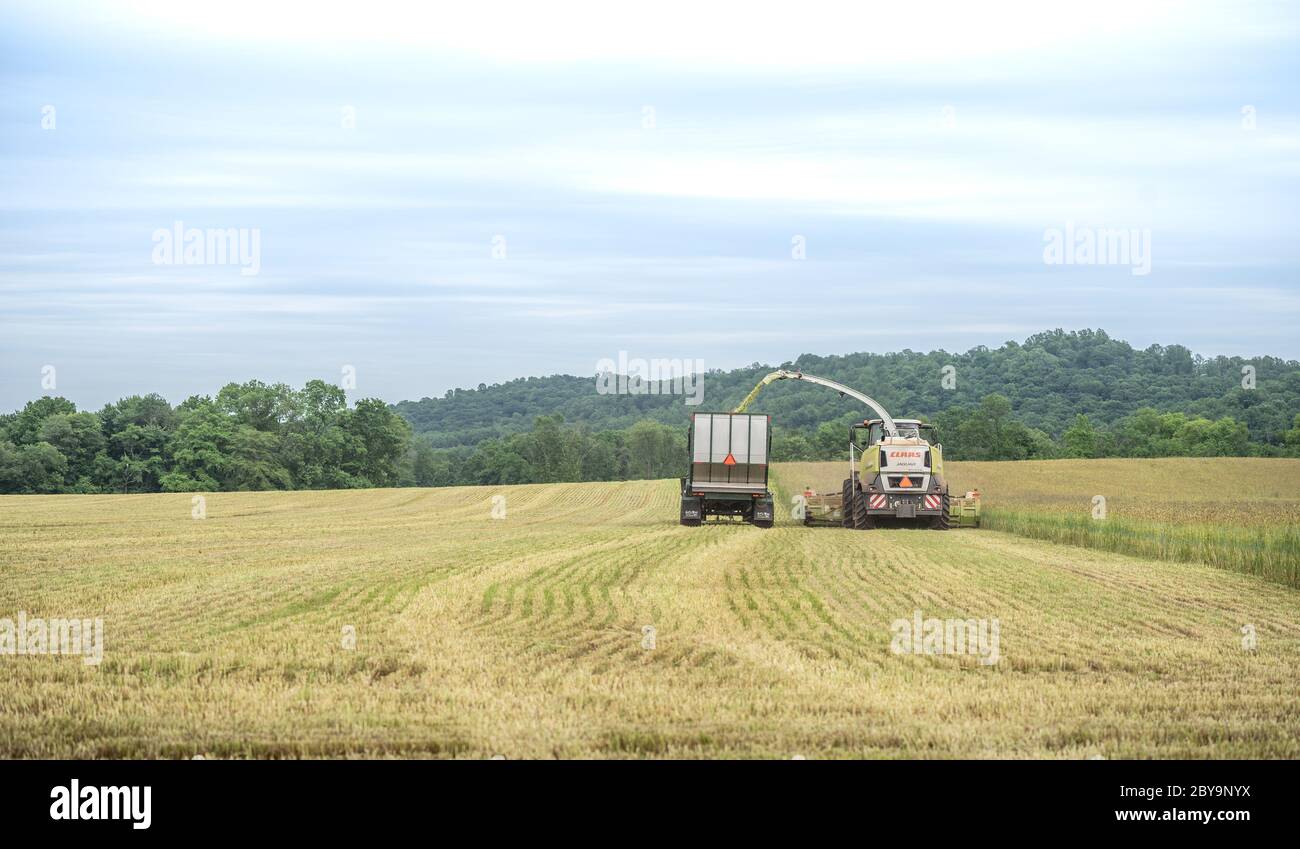 Lancaster County, Pennsylvania-June 2, 2020: Combine Harvester in field ...
