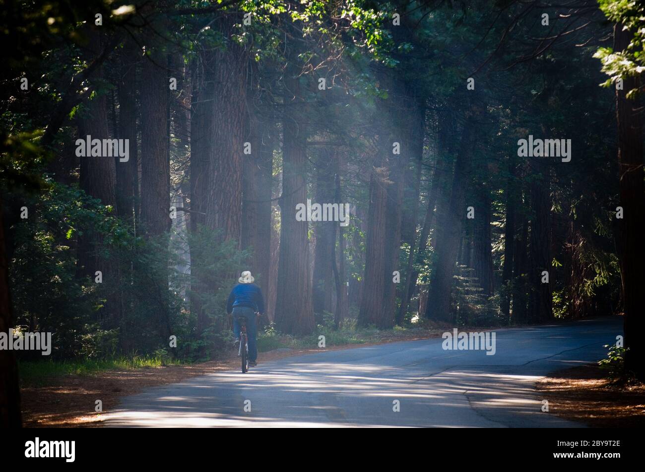 Bicycle range hi-res stock photography and images - Alamy