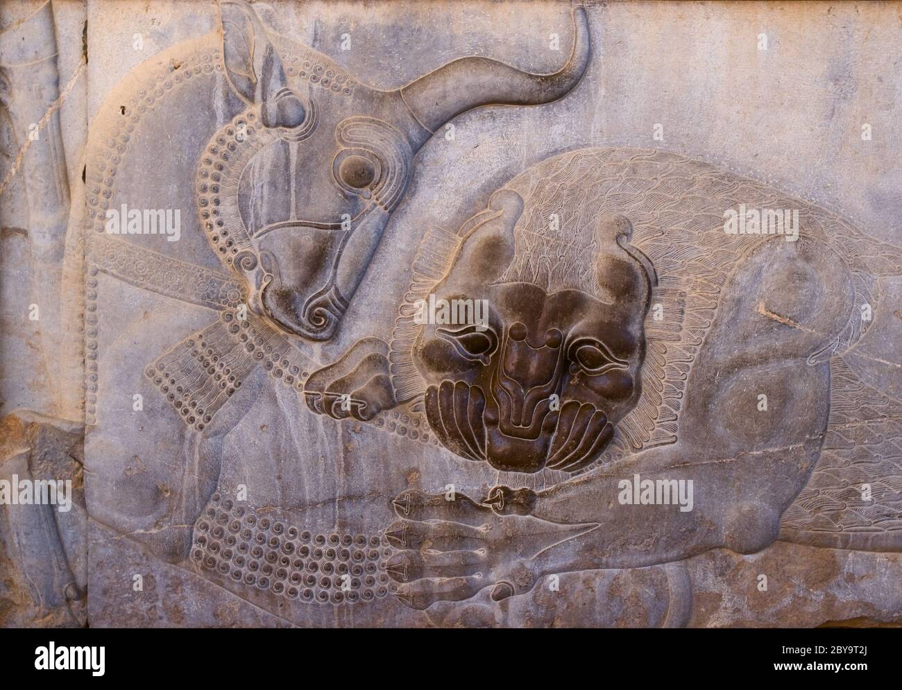 Ancient bas-reliefs of Persepolis, Iran Stock Photo - Alamy