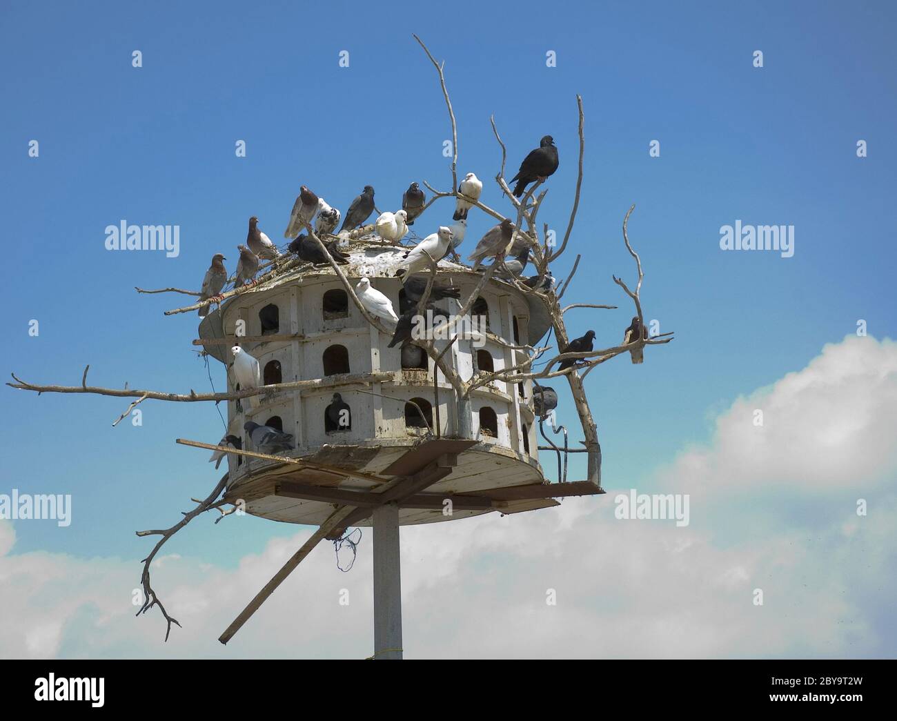 Dovecot hi-res stock photography and images - Alamy