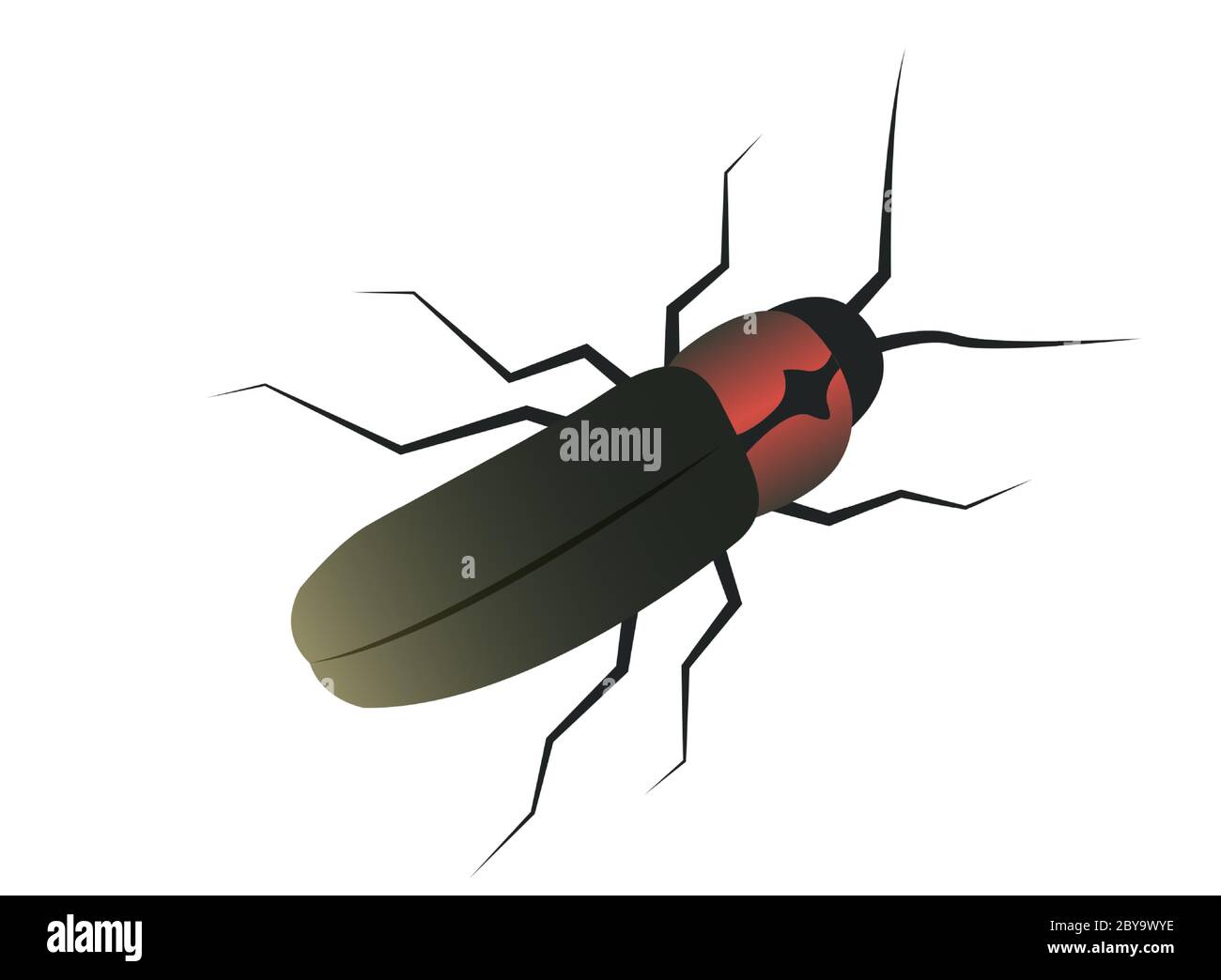 Japanese firefly Cut Out Stock Images & Pictures - Alamy