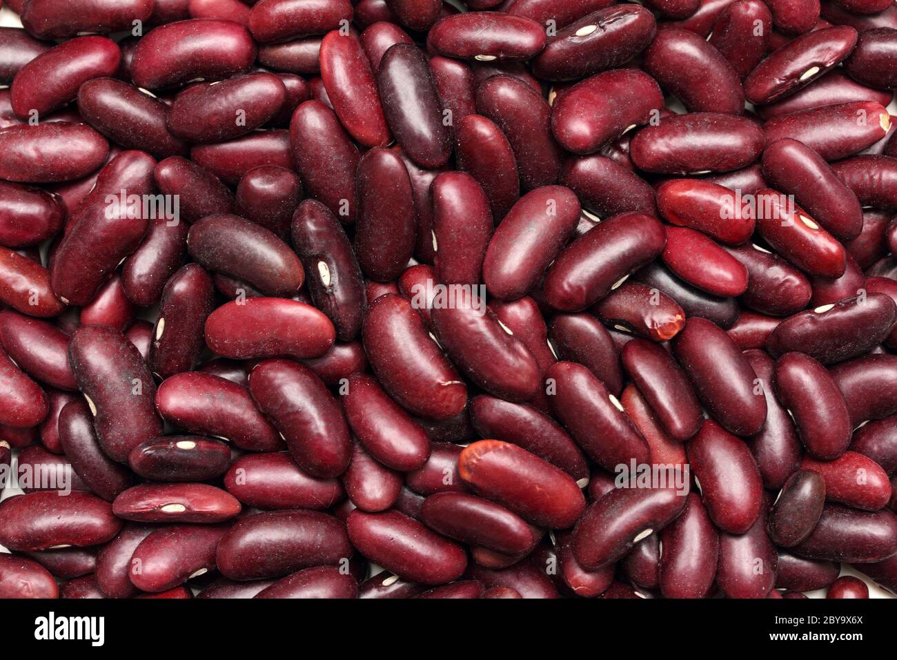 red haricot beans background Stock Photo - Alamy