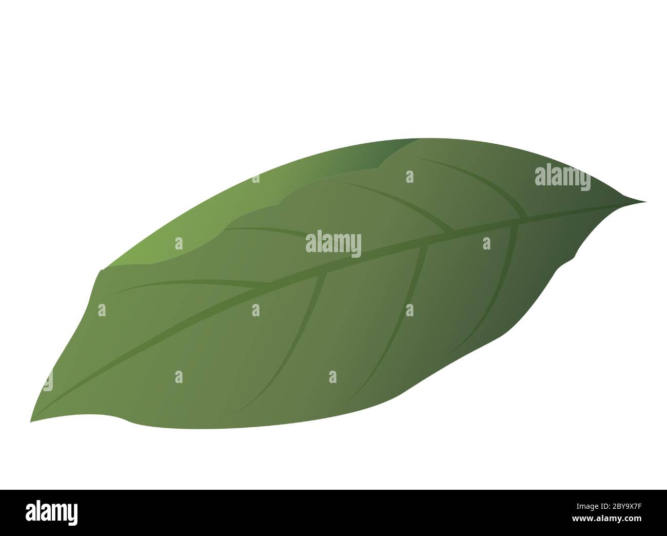 Japanese style vector leaf Stock Vector Image & Art - Alamy