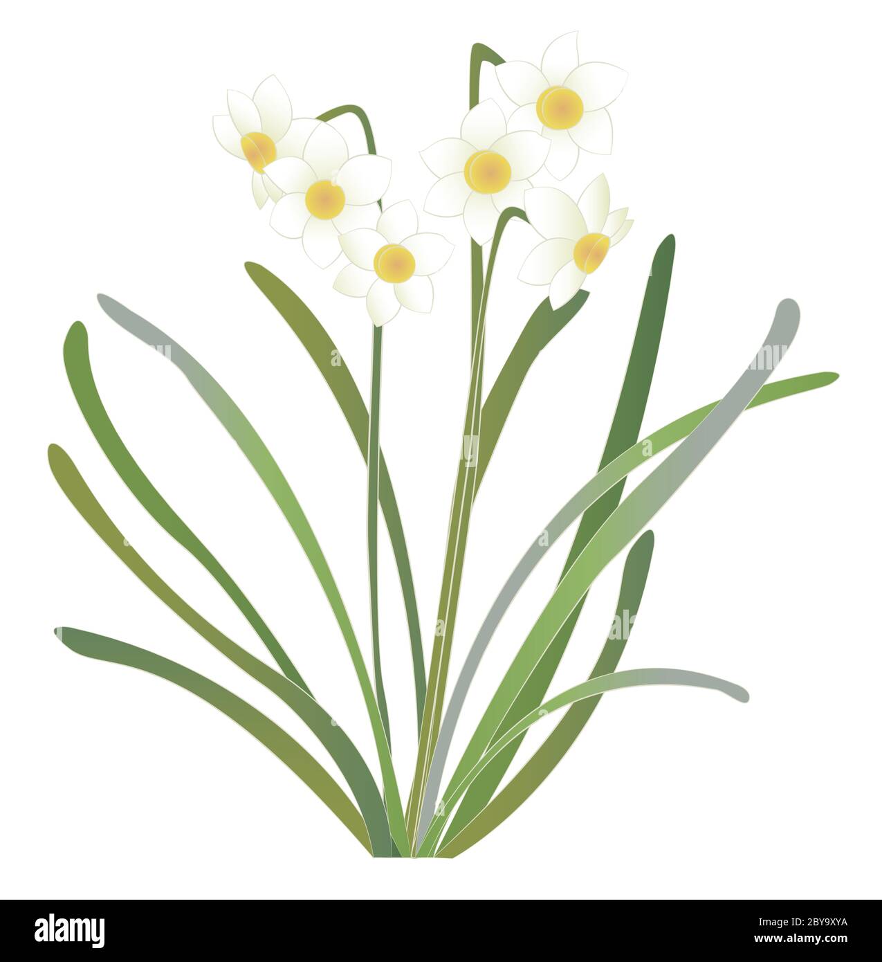 Japanese style vector Daffodils Stock Vector Image & Art - Alamy