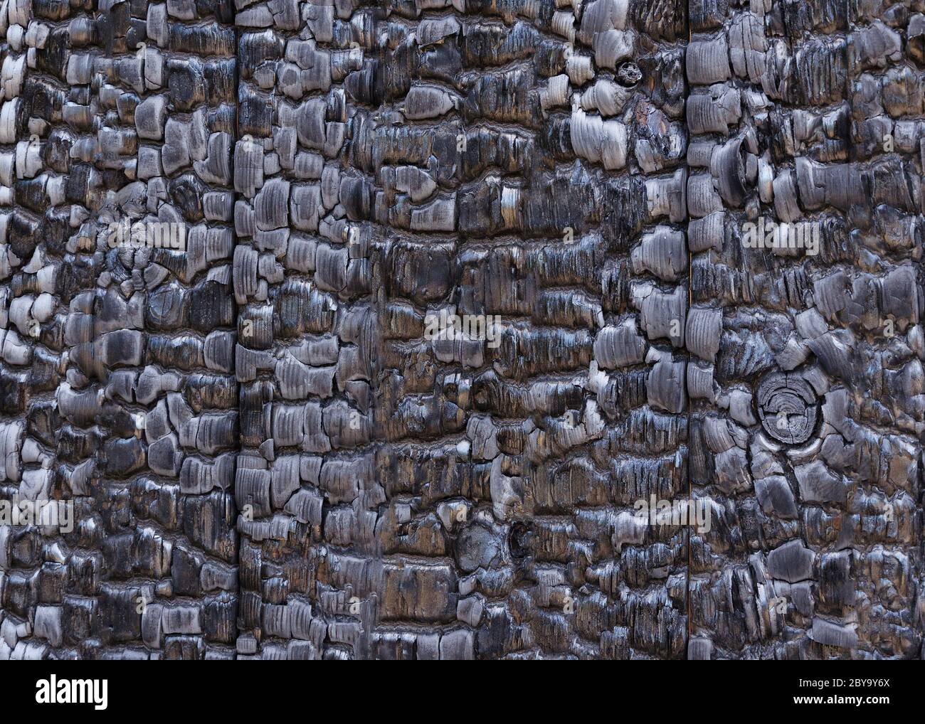 Burnt Wood Texture Seamless