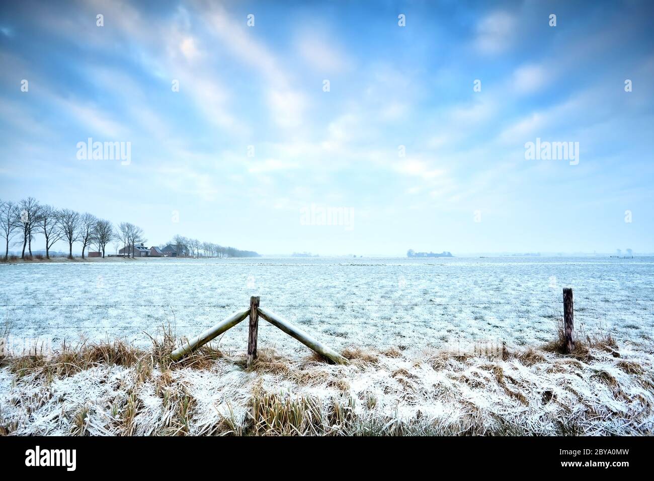 typical Dutch farmland in winter Stock Photo - Alamy