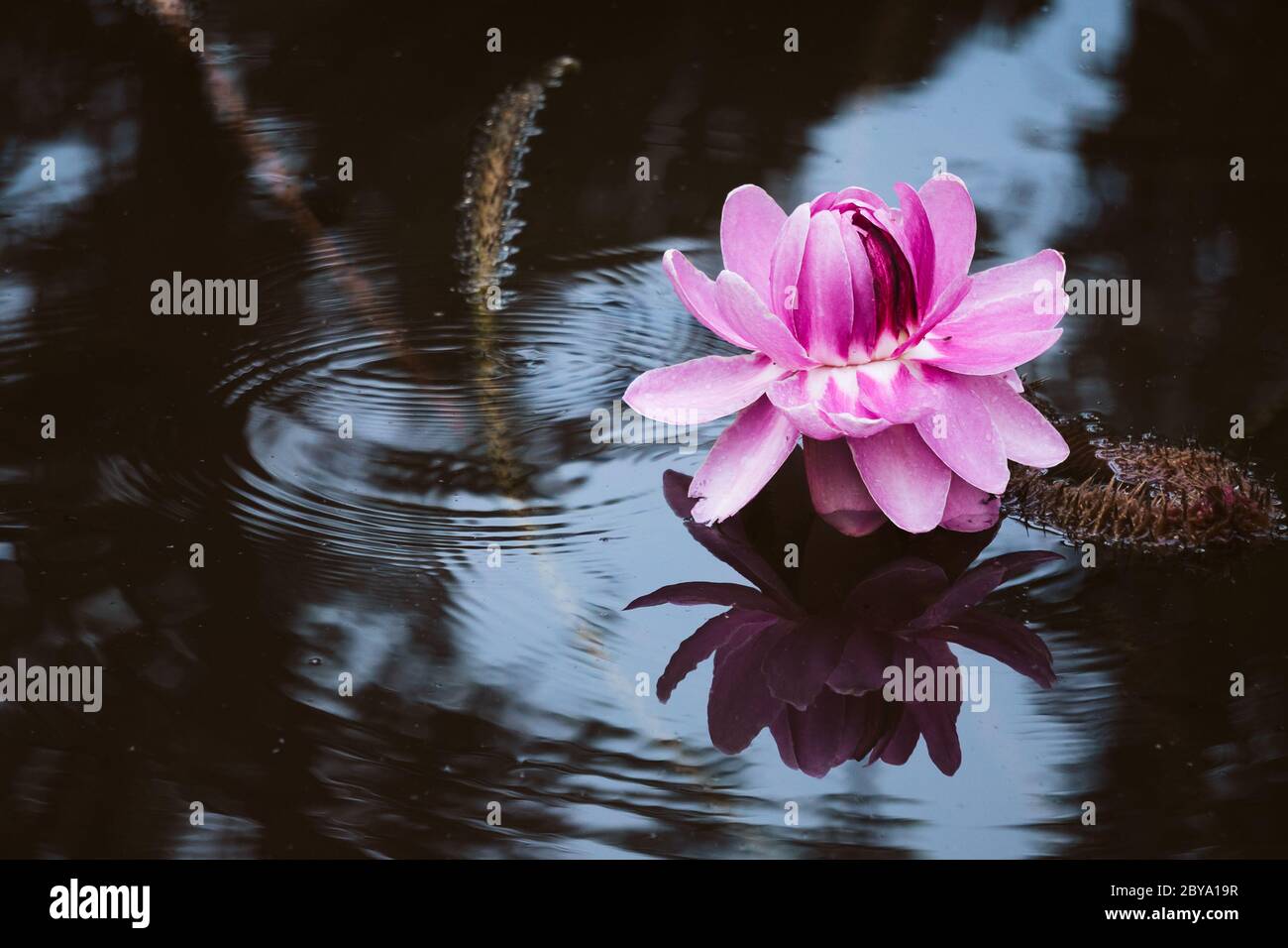 Biotourism hi-res stock photography and images - Alamy