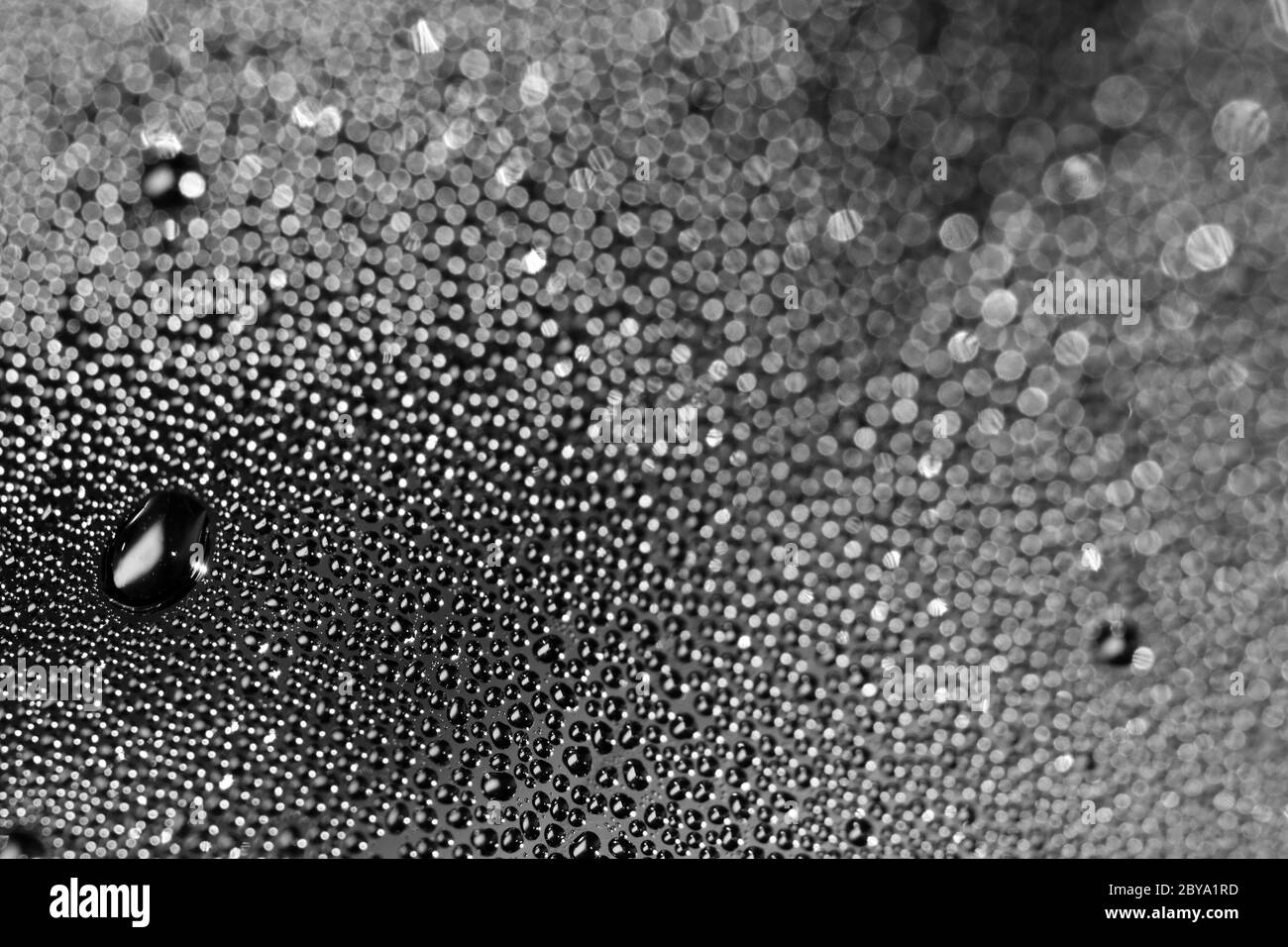 Water drops background Black and White Stock Photos & Images - Alamy