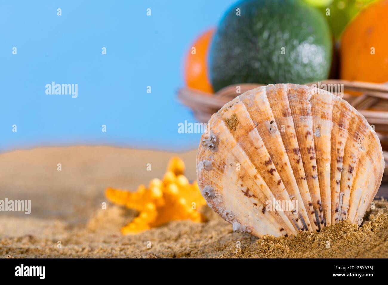 Blue sky over the sea beach. Ripe southern fruits lie in the basket ...