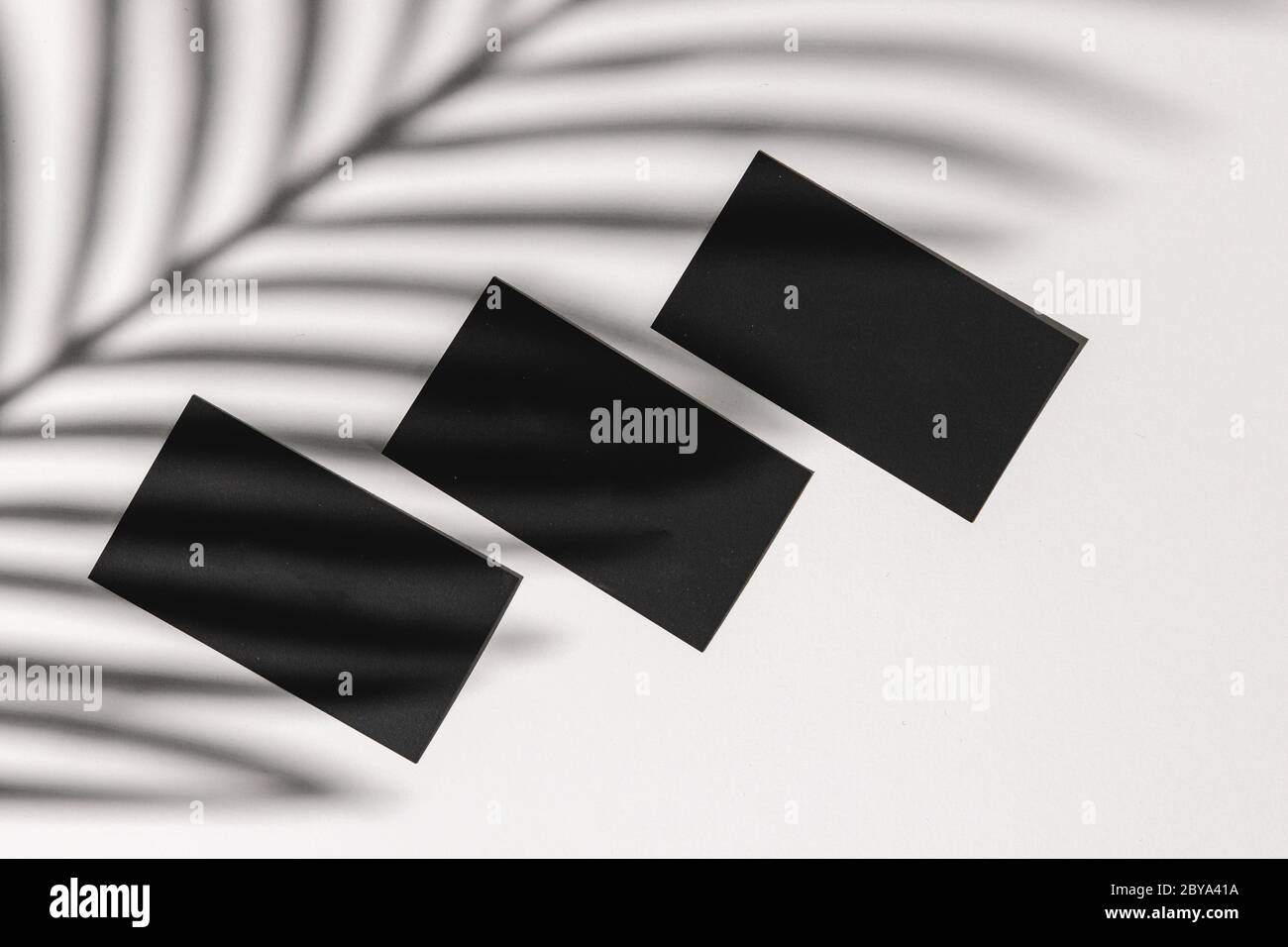 Business card on paper background with foliage shadow Stock Photo - Alamy