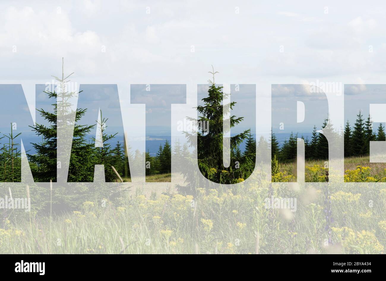 nature lettering on landscape background Stock Photo - Alamy