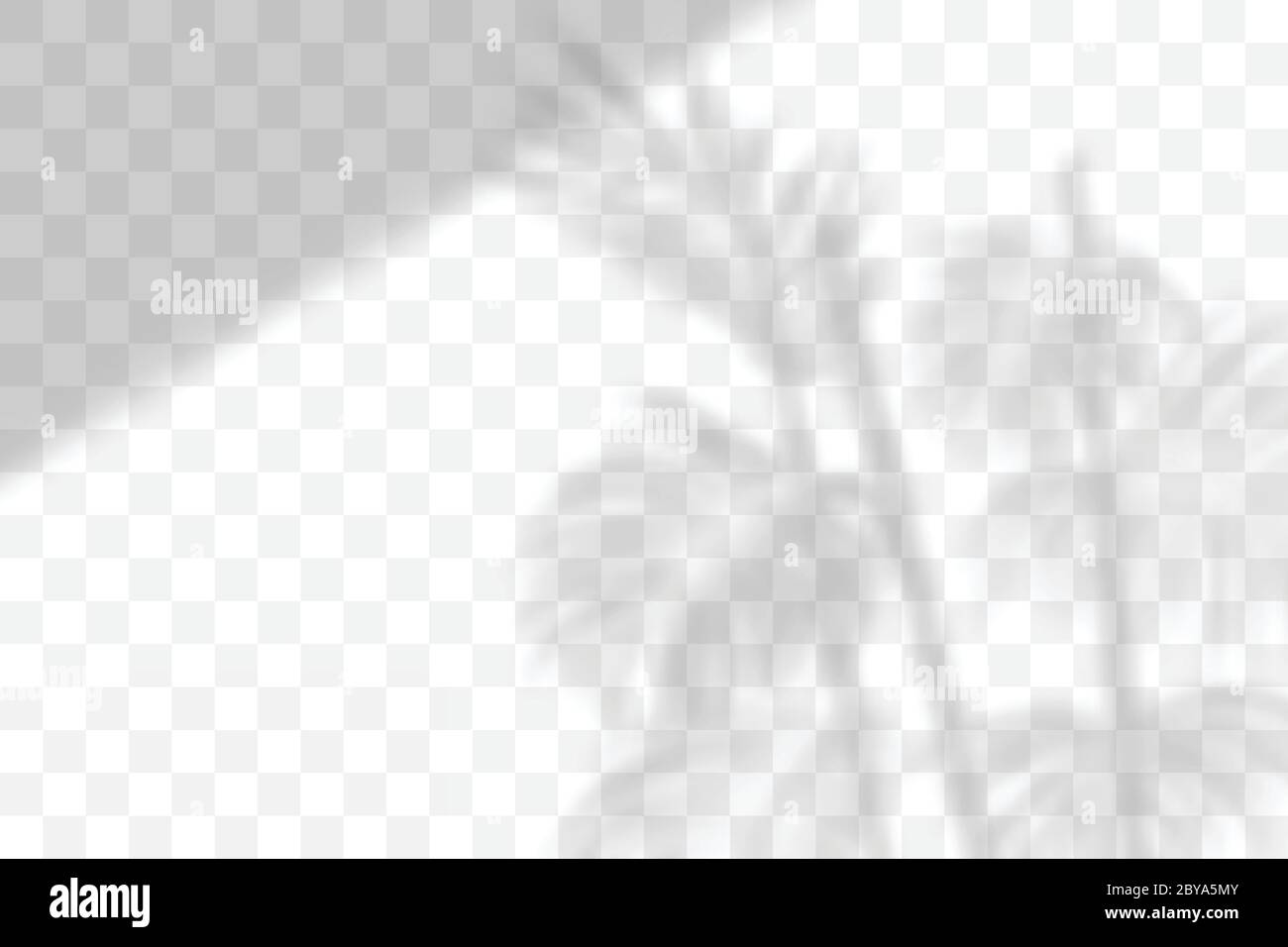 Vector transparent natural plant shadow. Light effect overlay. Mesh ...