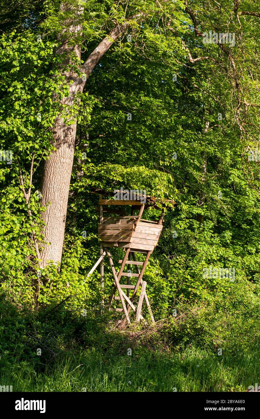 Timber watch tower hi-res stock photography and images - Alamy