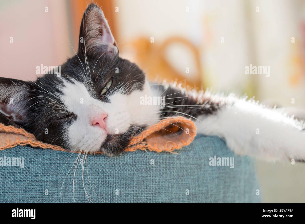 Awake magazine hi-res stock photography and images - Alamy