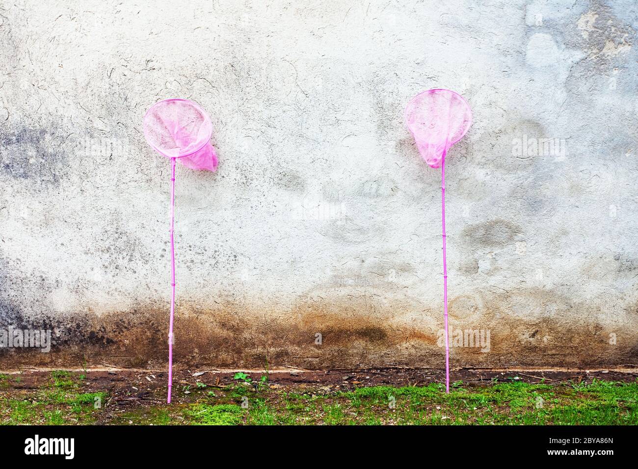 Two nets for butterflies Stock Photo - Alamy