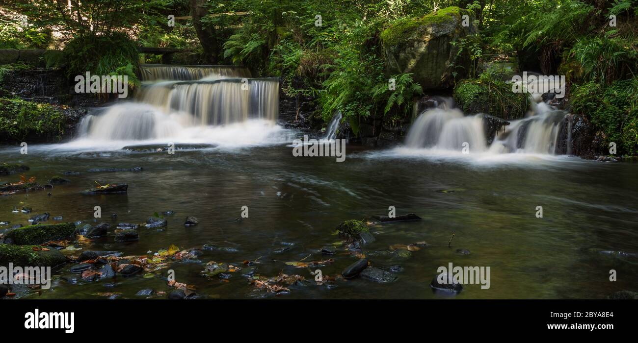Rivelin valley park hi-res stock photography and images - Alamy