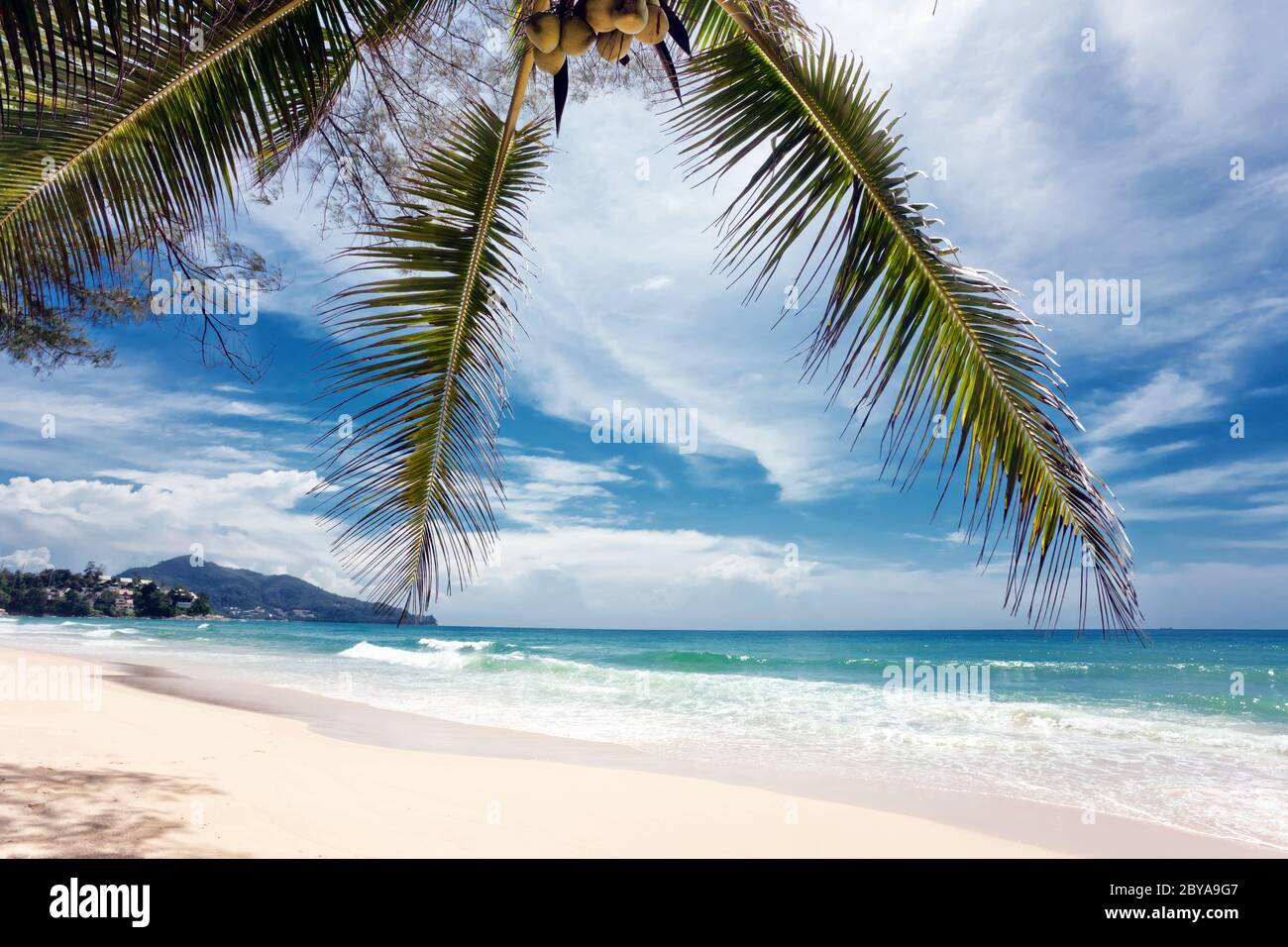 Exotic tropical beach Stock Photo - Alamy