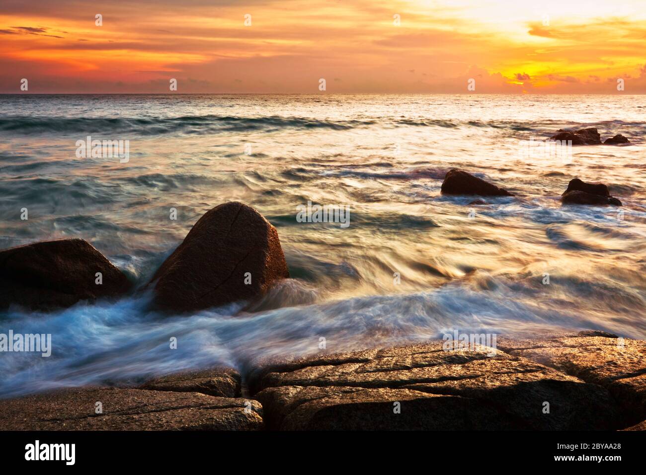 Vaca tropical hi-res stock photography and images - Alamy