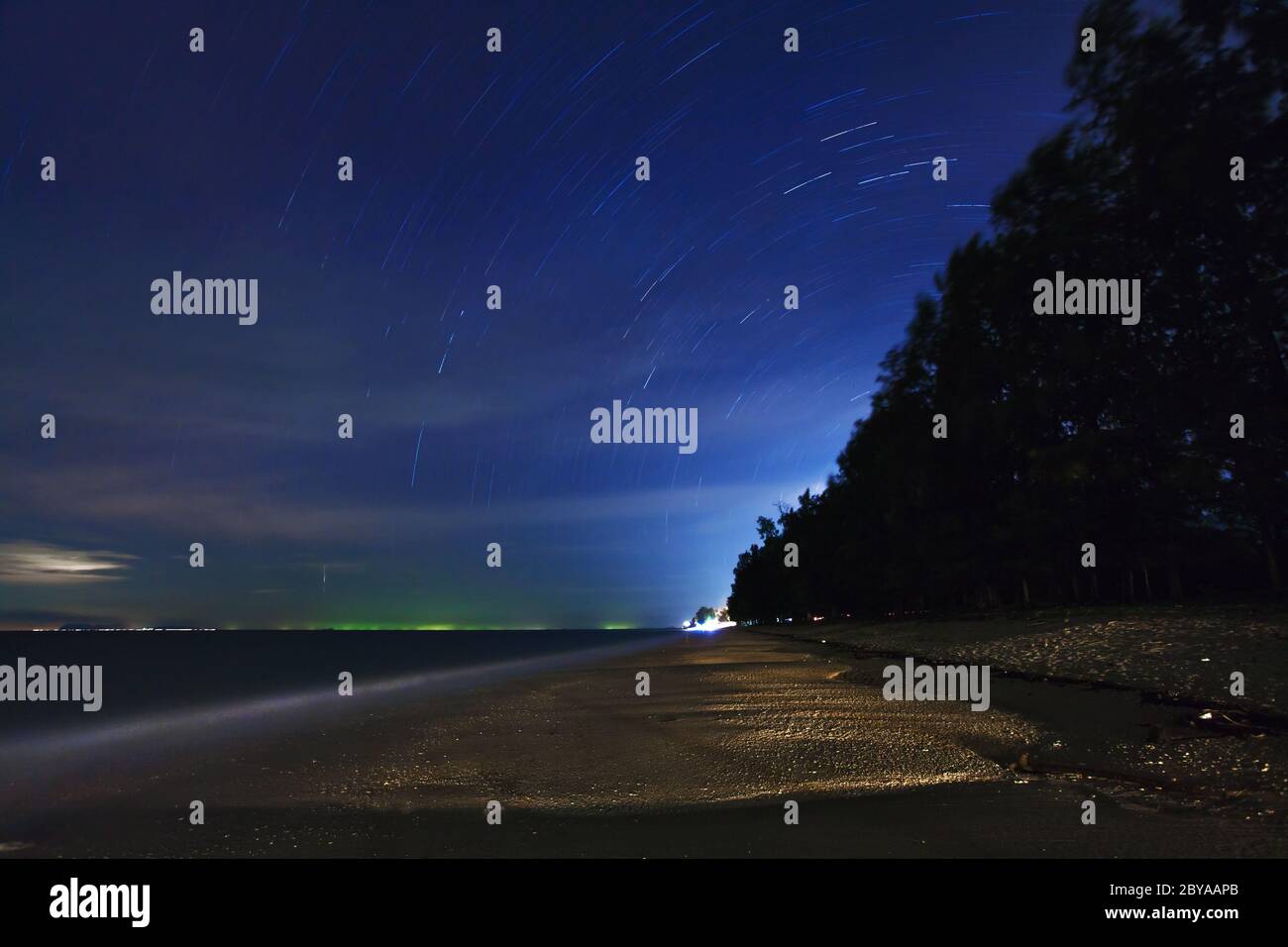 Tropical appearance hi-res stock photography and images - Alamy