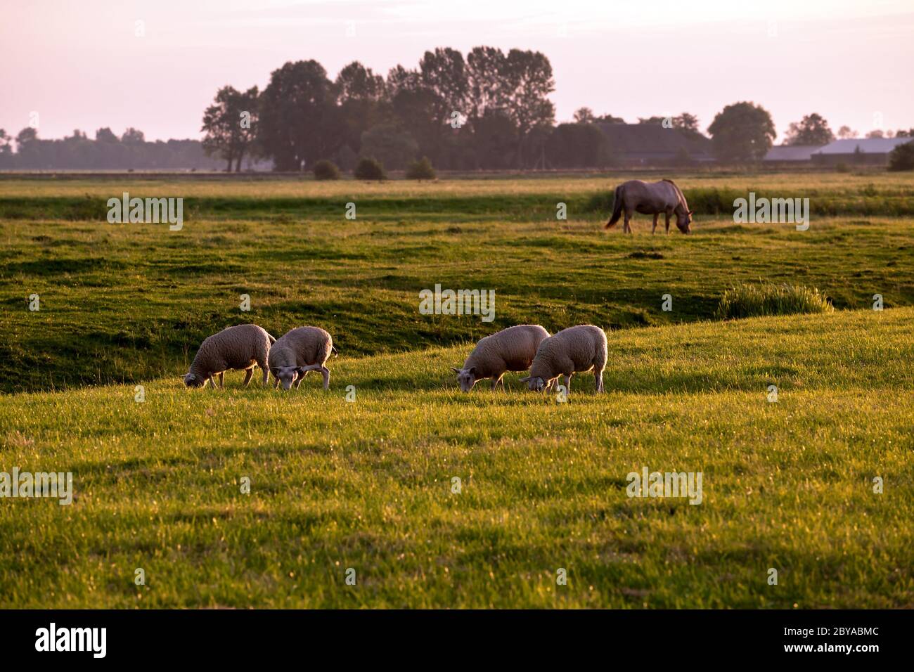 Pastoral people hi-res stock photography and images - Alamy