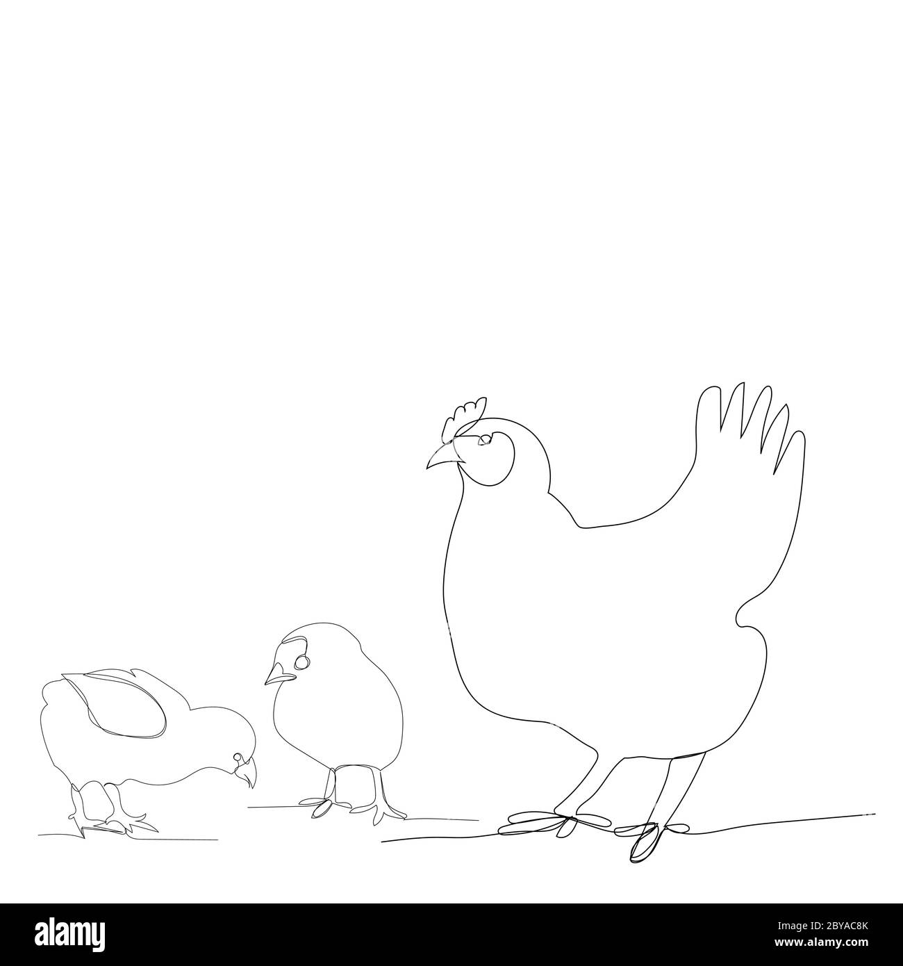 vector, white background, continuous line drawing of chickens and ...