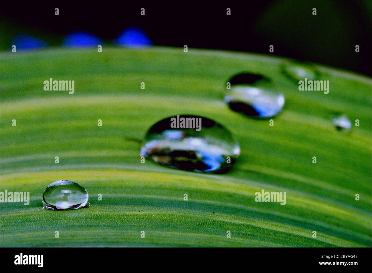 abstract and drop Stock Photo - Alamy