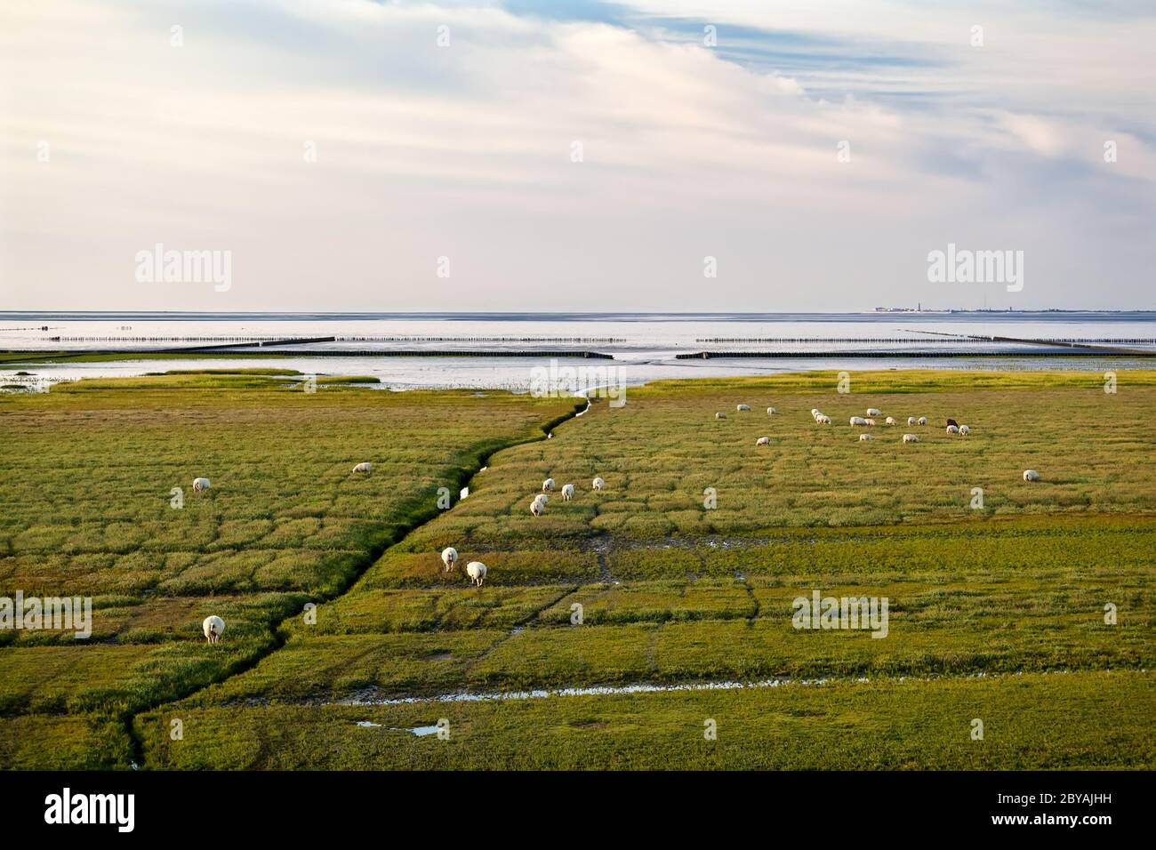 Swamp farm hi-res stock photography and images - Alamy