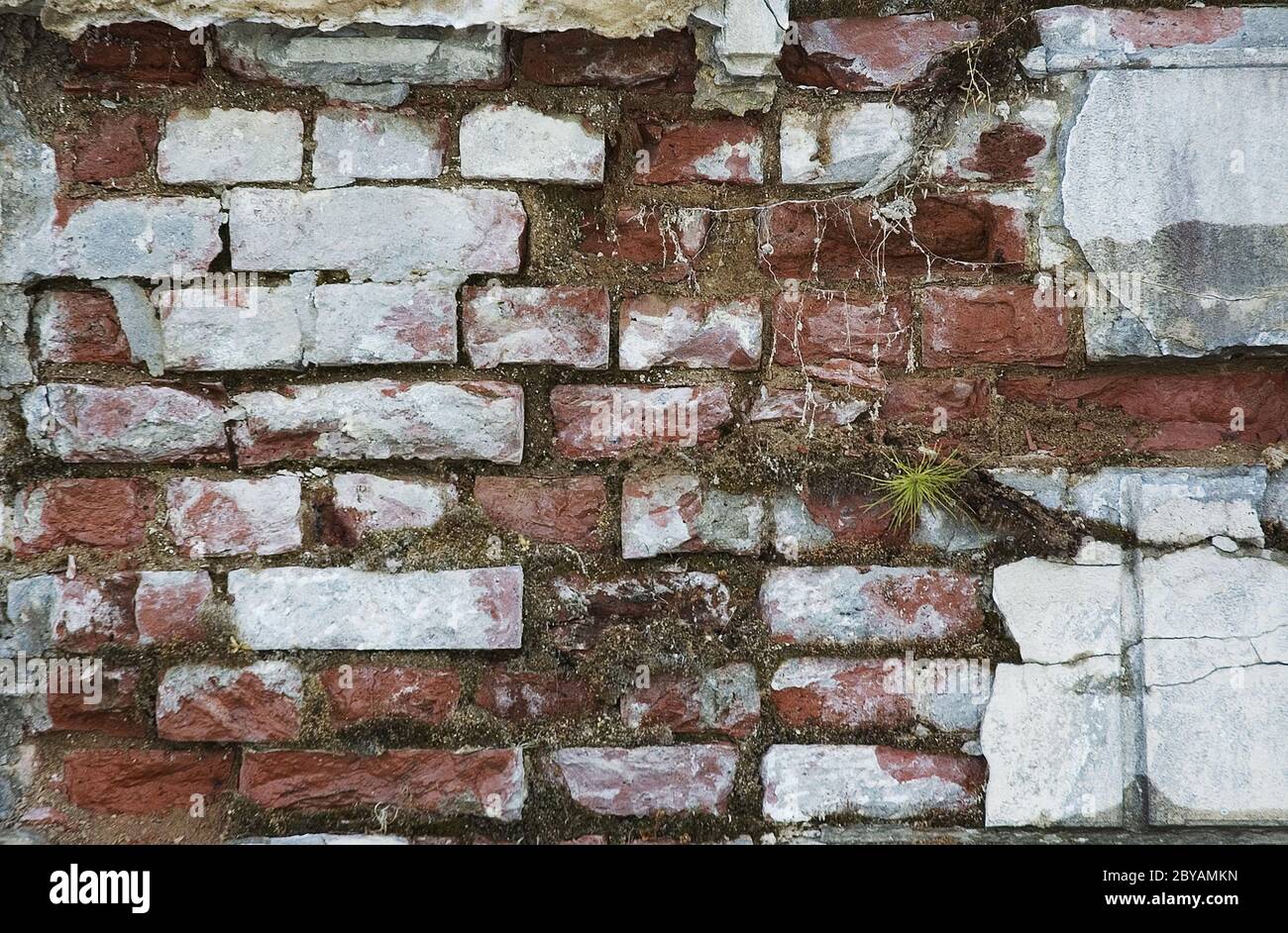 ancient wall - nice textured background Stock Photo - Alamy