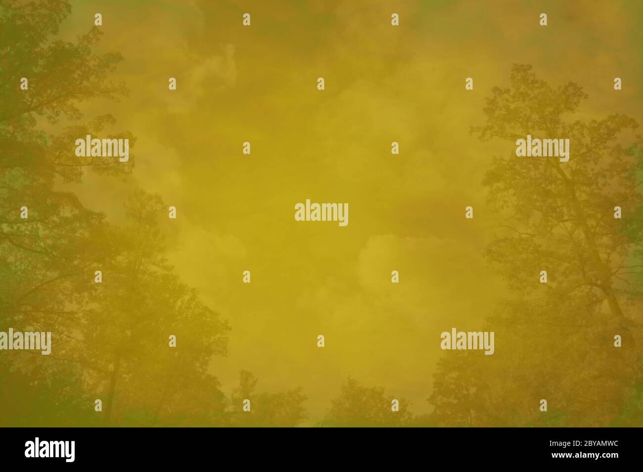 grunge forest background with space for text Stock Photo - Alamy