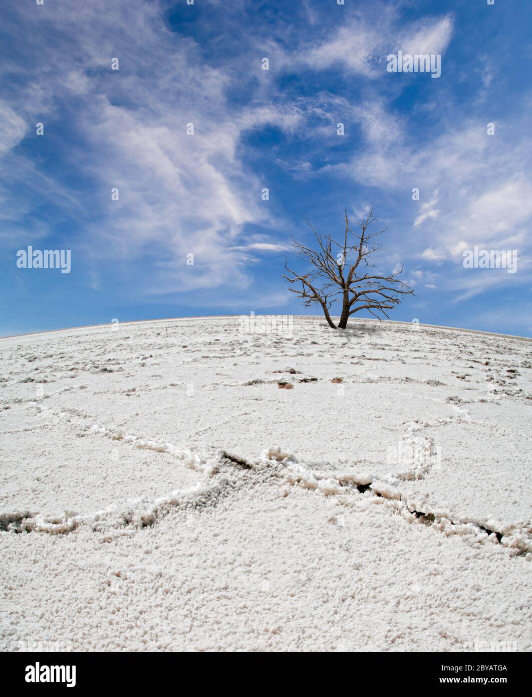 white salt desert Stock Photo - Alamy