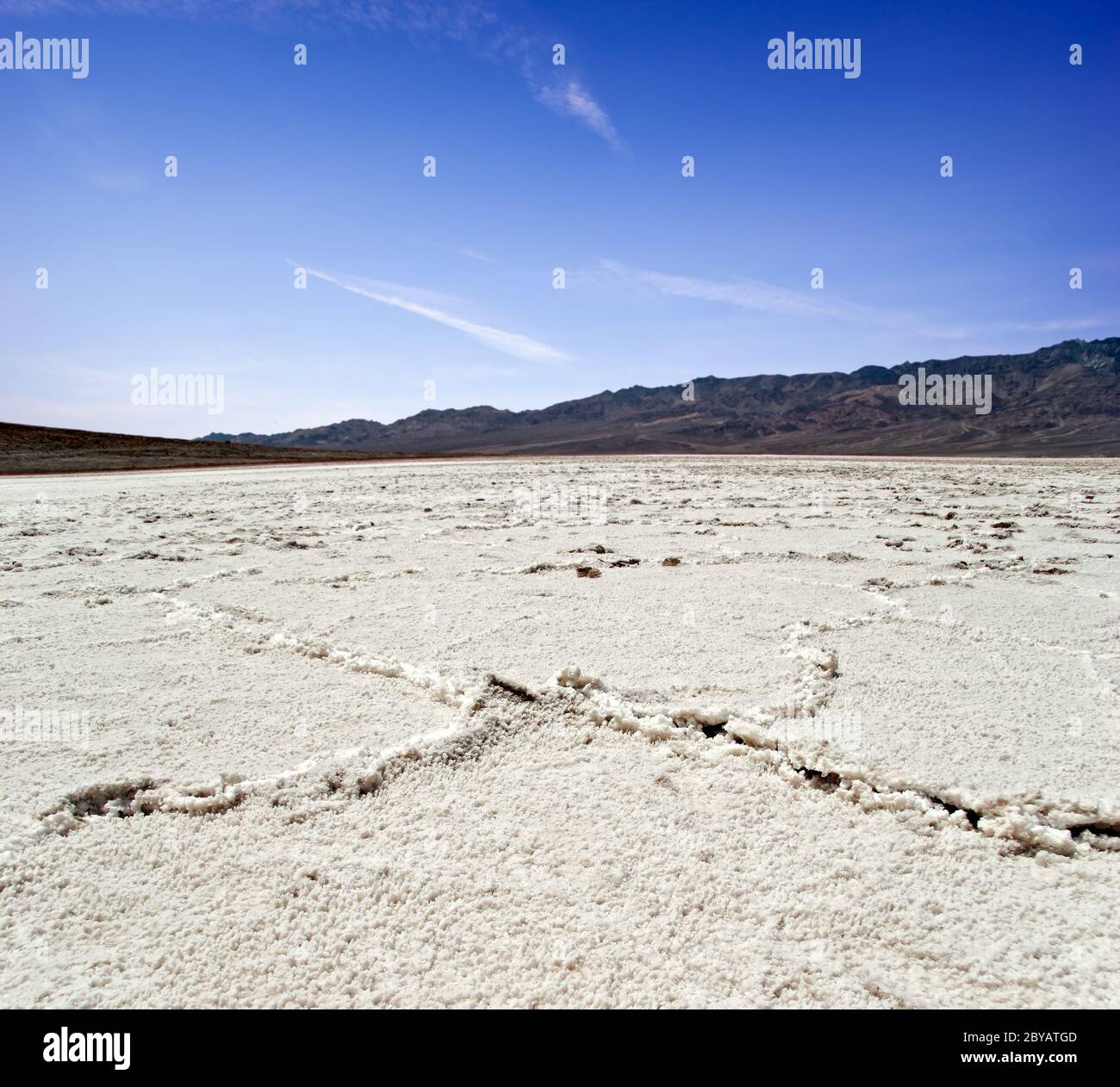 white salt desert Stock Photo - Alamy