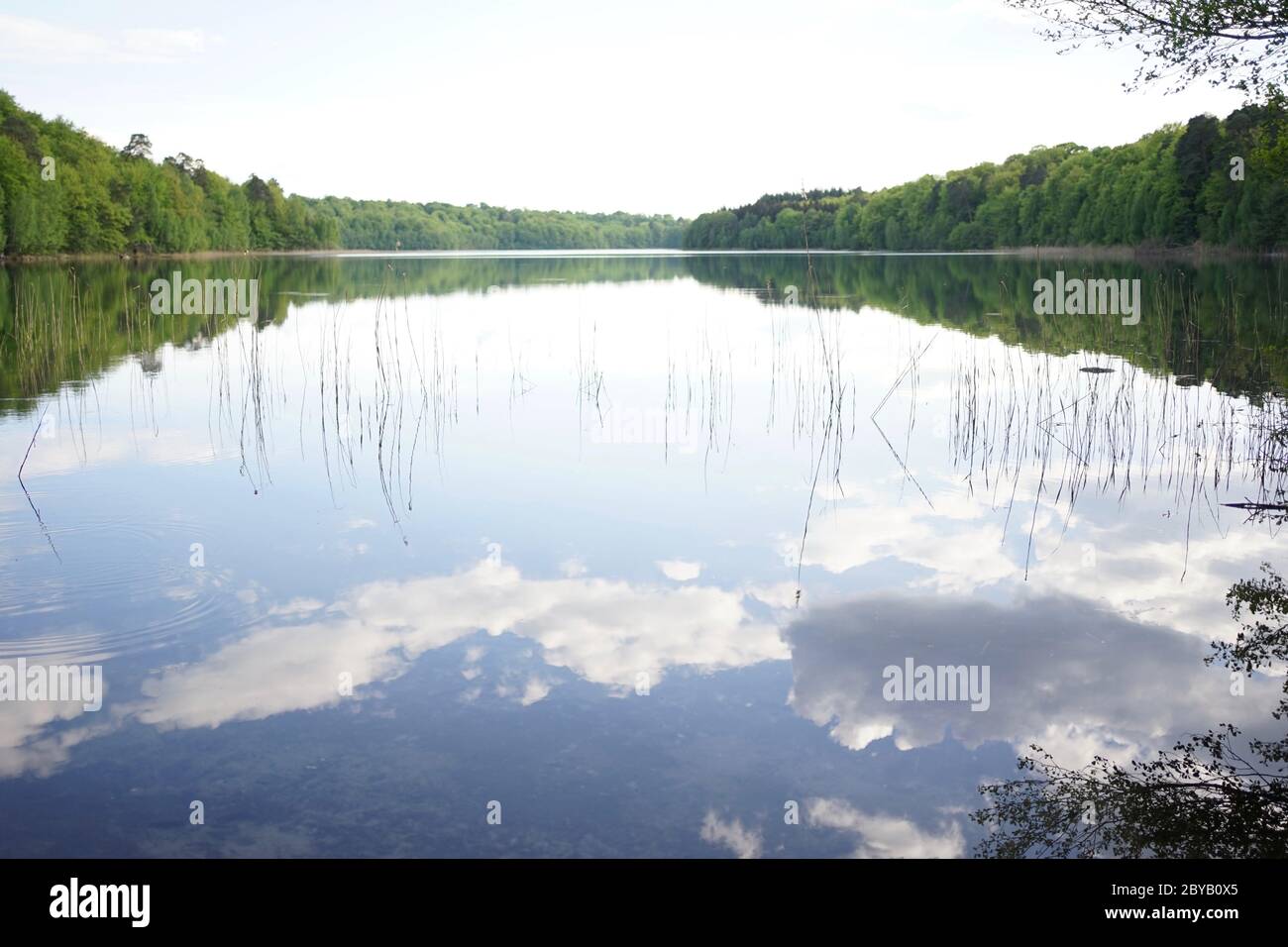 Crystal clear lake Peetschsee located in Stechlin conservation area ...