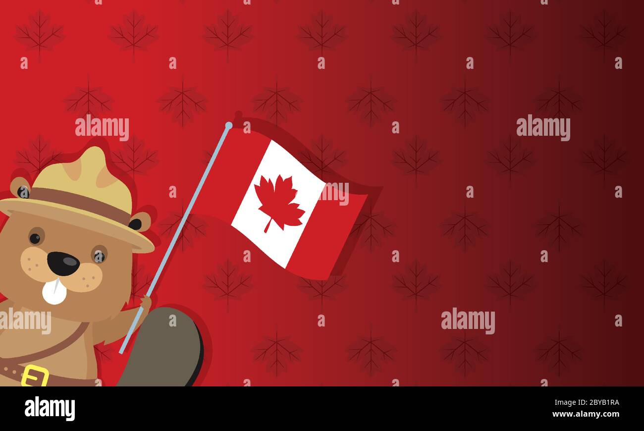 canada day celebration card with beaver and flag vector illustration ...