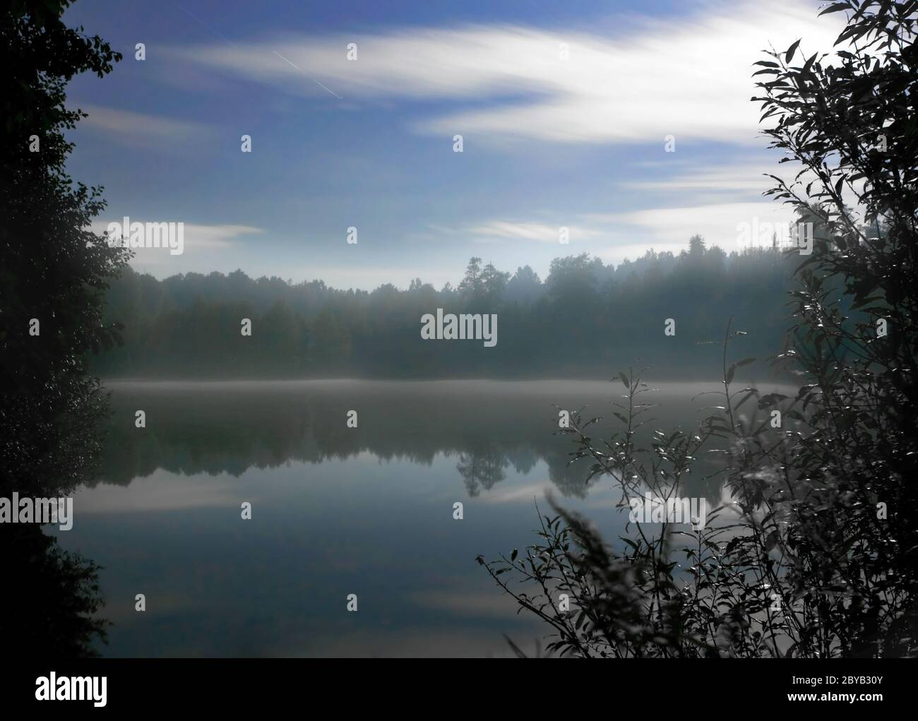 Foggy night tree silhouette hi-res stock photography and images - Alamy