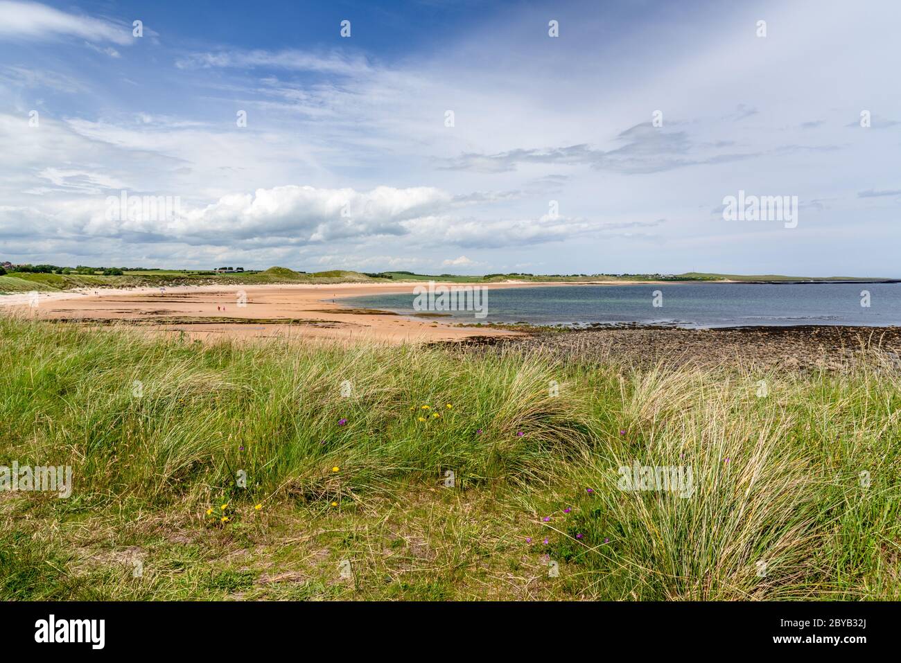 Embleton Bay, Northumberland Stock Photo - Alamy