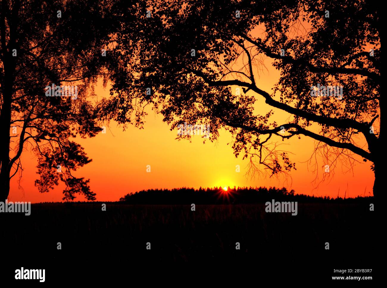 Summer sunset in Japanese style Stock Photo - Alamy