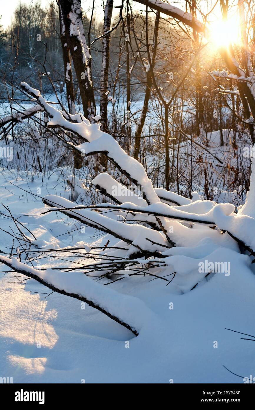 Beautiful landscape sunset new hi-res stock photography and images - Alamy