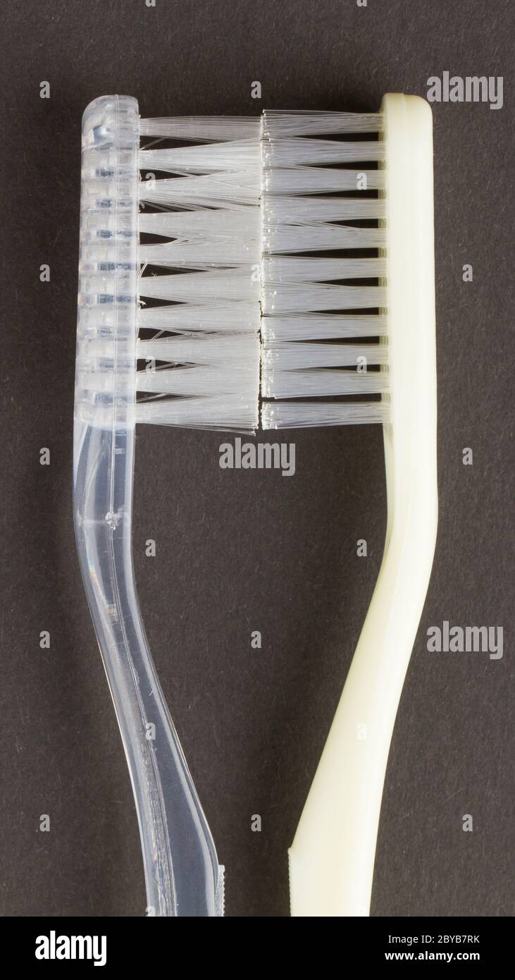 Two white toothbrushes isolated Stock Photo - Alamy