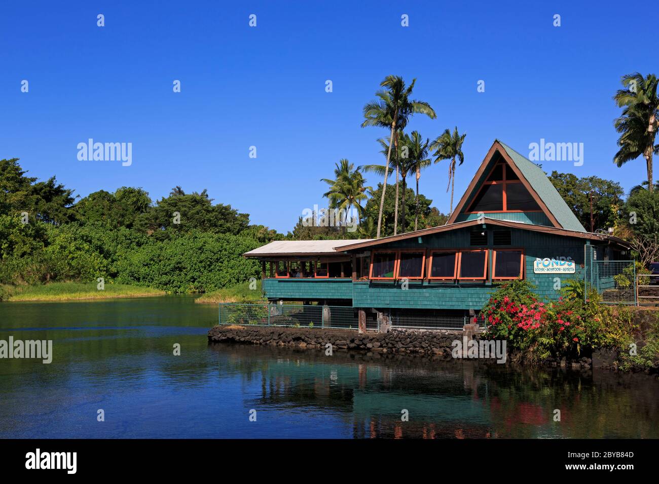 Hawaii ponds hi-res stock photography and images - Alamy