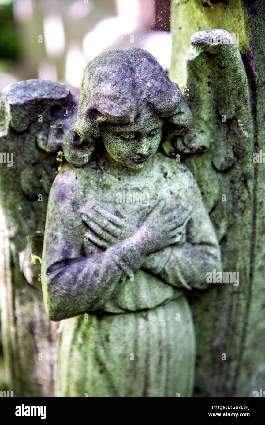 Tower Hamlets Cemetery Park High Resolution Stock Photography and ...