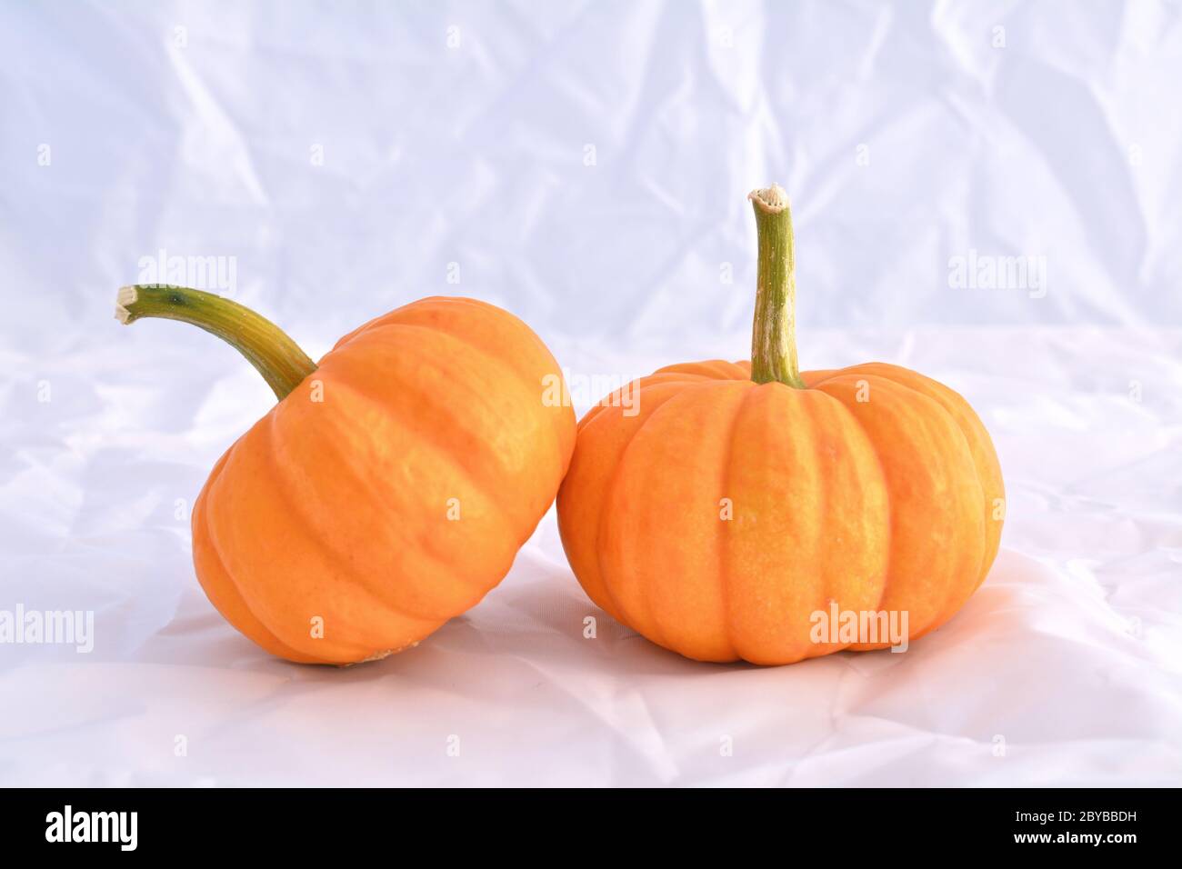 Two jack fruit hi-res stock photography and images - Alamy