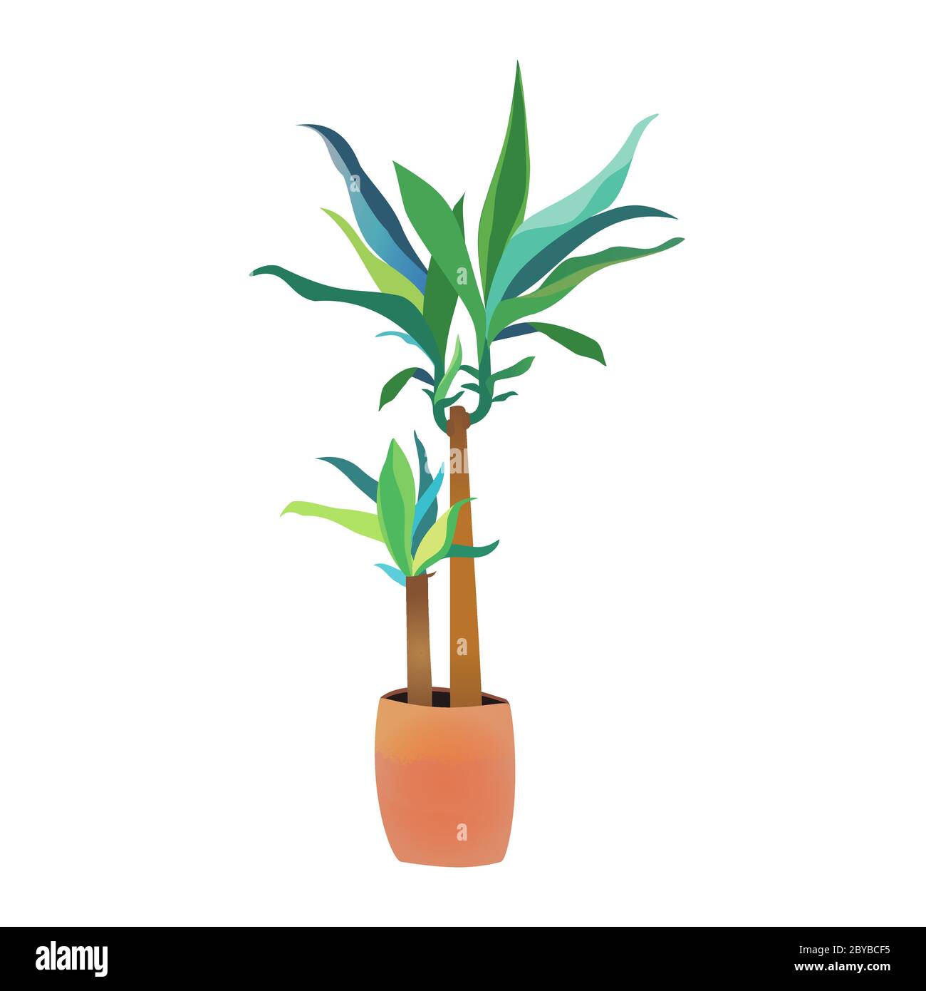 Green dracaena plant Interior design vector element Stock Vector Image ...
