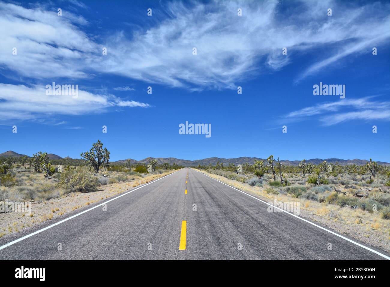 Joshua tree route 66 hi-res stock photography and images - Alamy