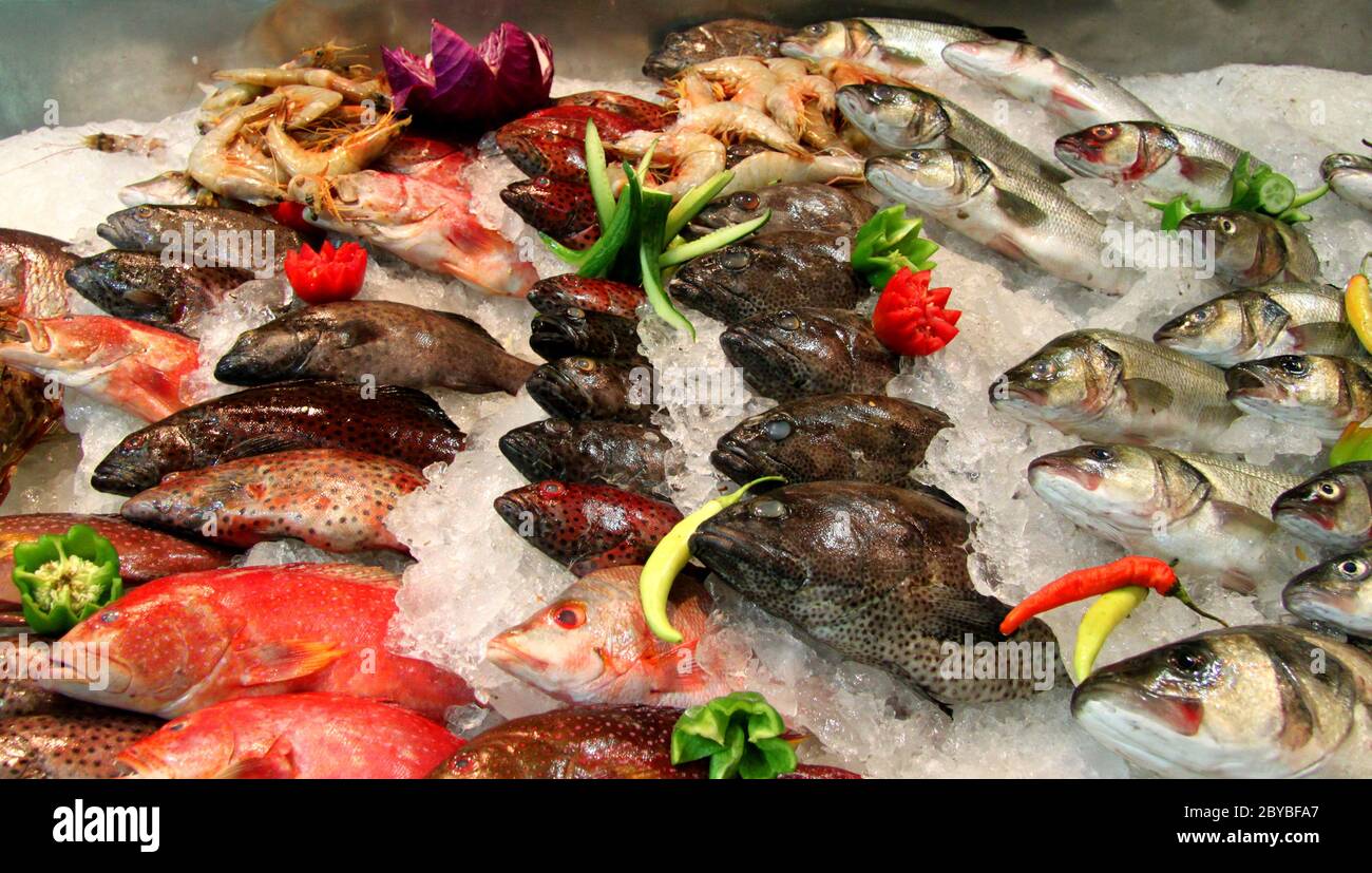 Frozen ingredients hi-res stock photography and images - Alamy