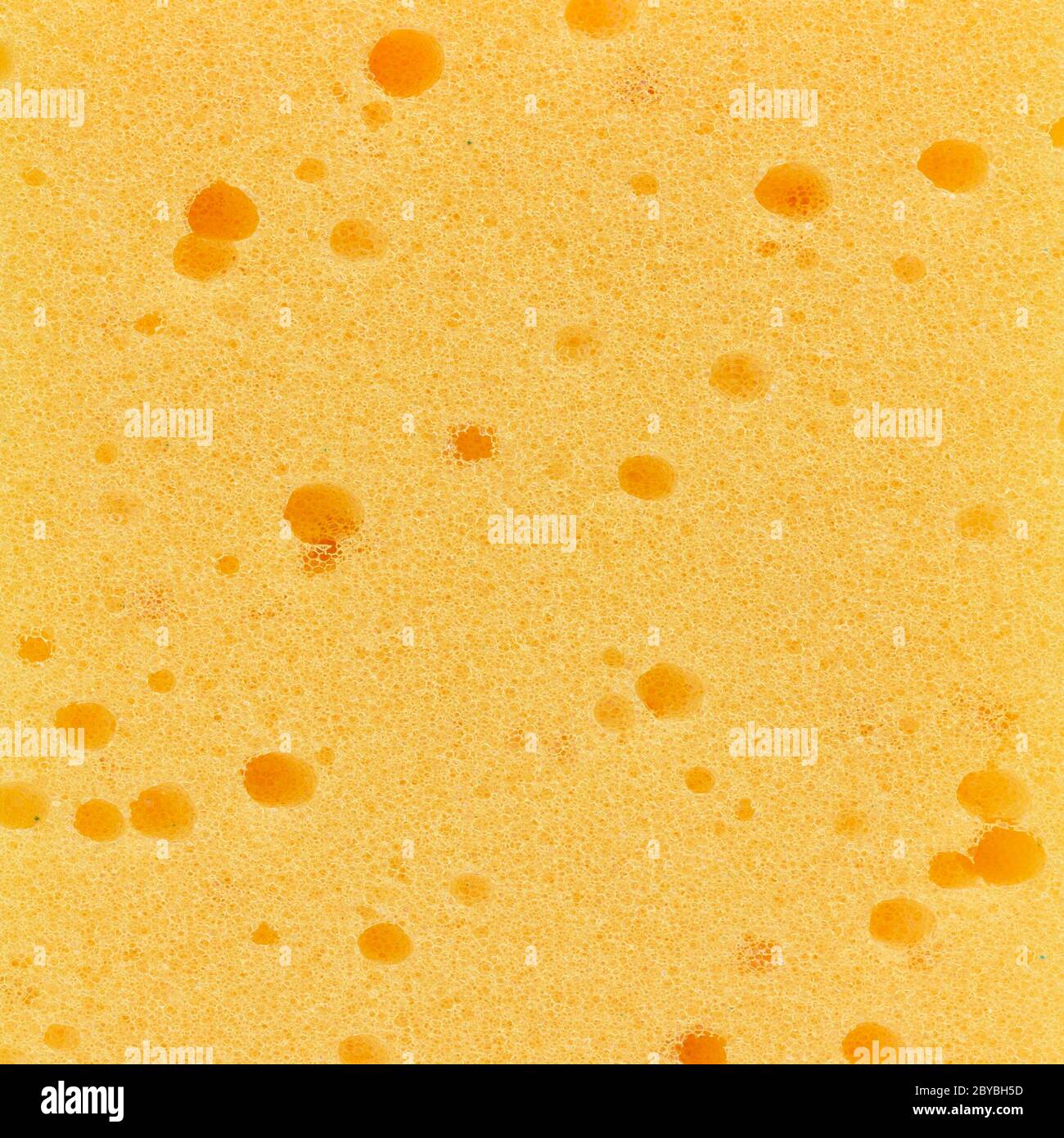 Kitchen sponge isolated Stock Photo - Alamy