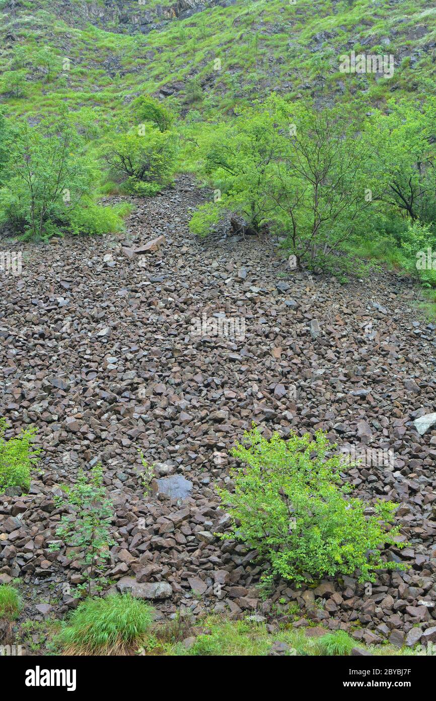 Geological phenomenon, stone landslide as river of rocks, wet under ...