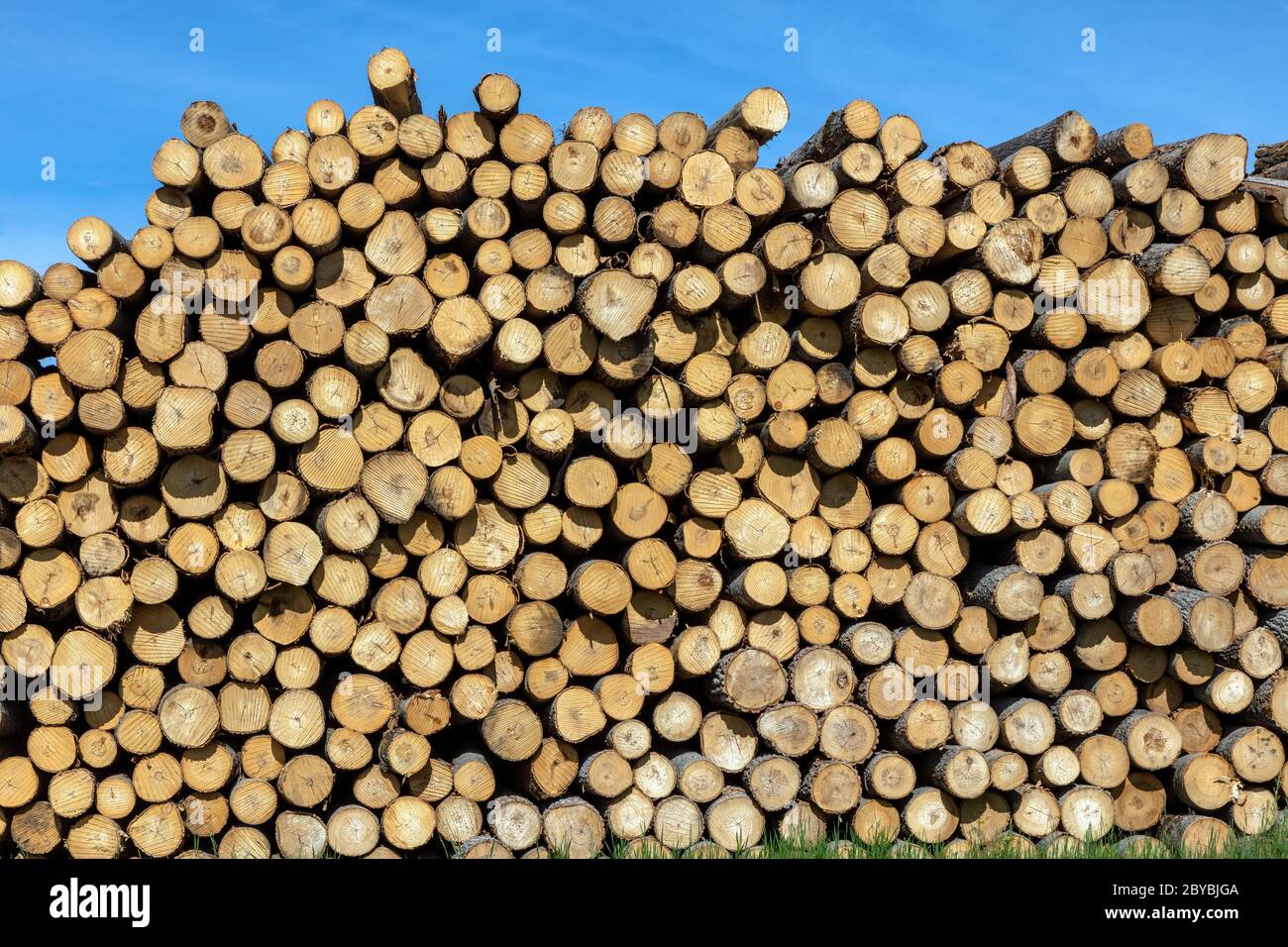 Stacked cut logs, Sawmill operation, E USA, by James D Coppinger ...