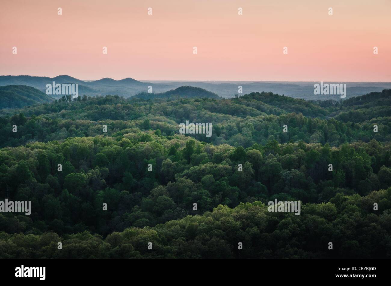 Forest of Kentucky Stock Photo - Alamy