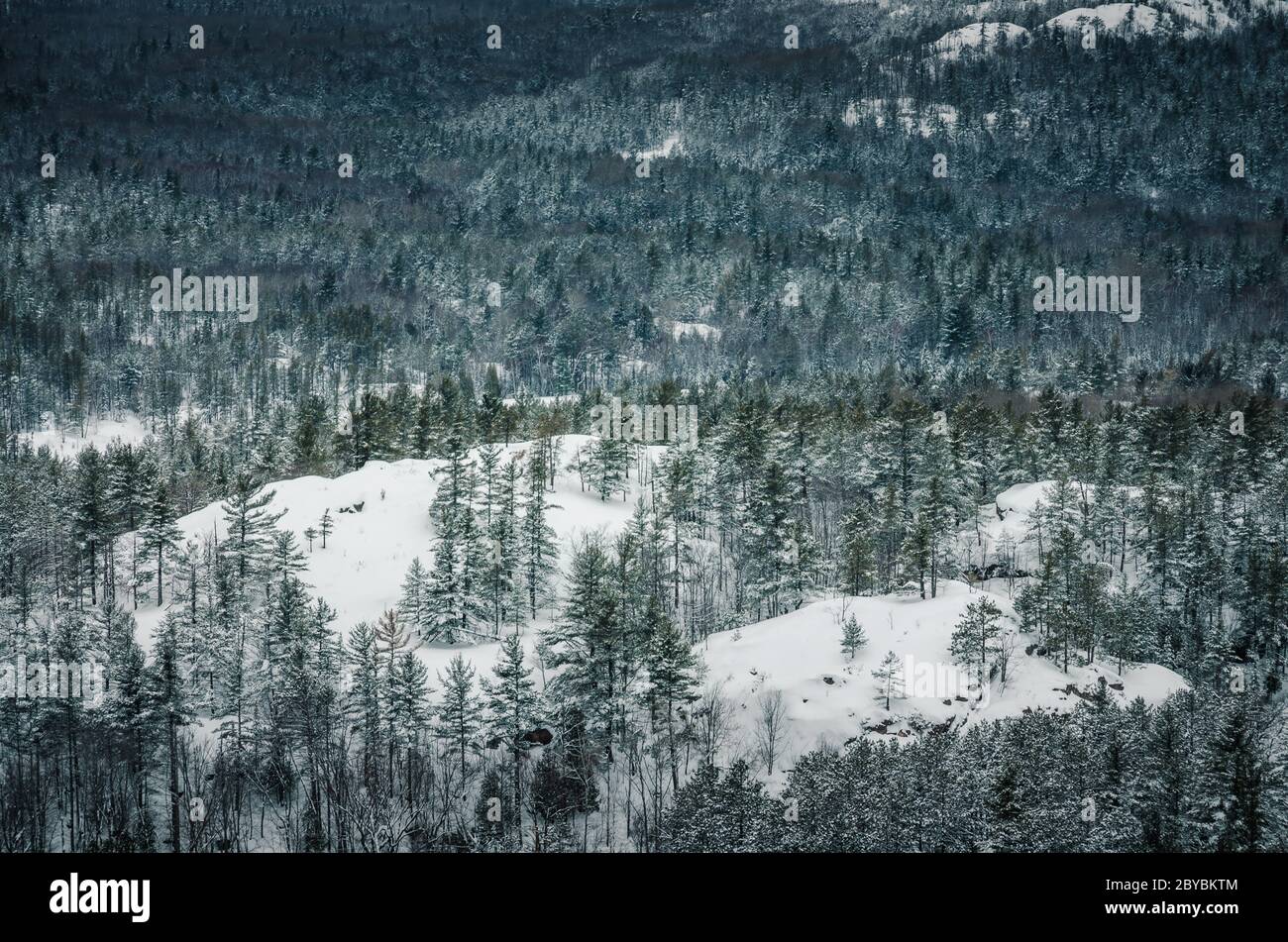Winter at Upper Peninsula, Michigan Stock Photo - Alamy