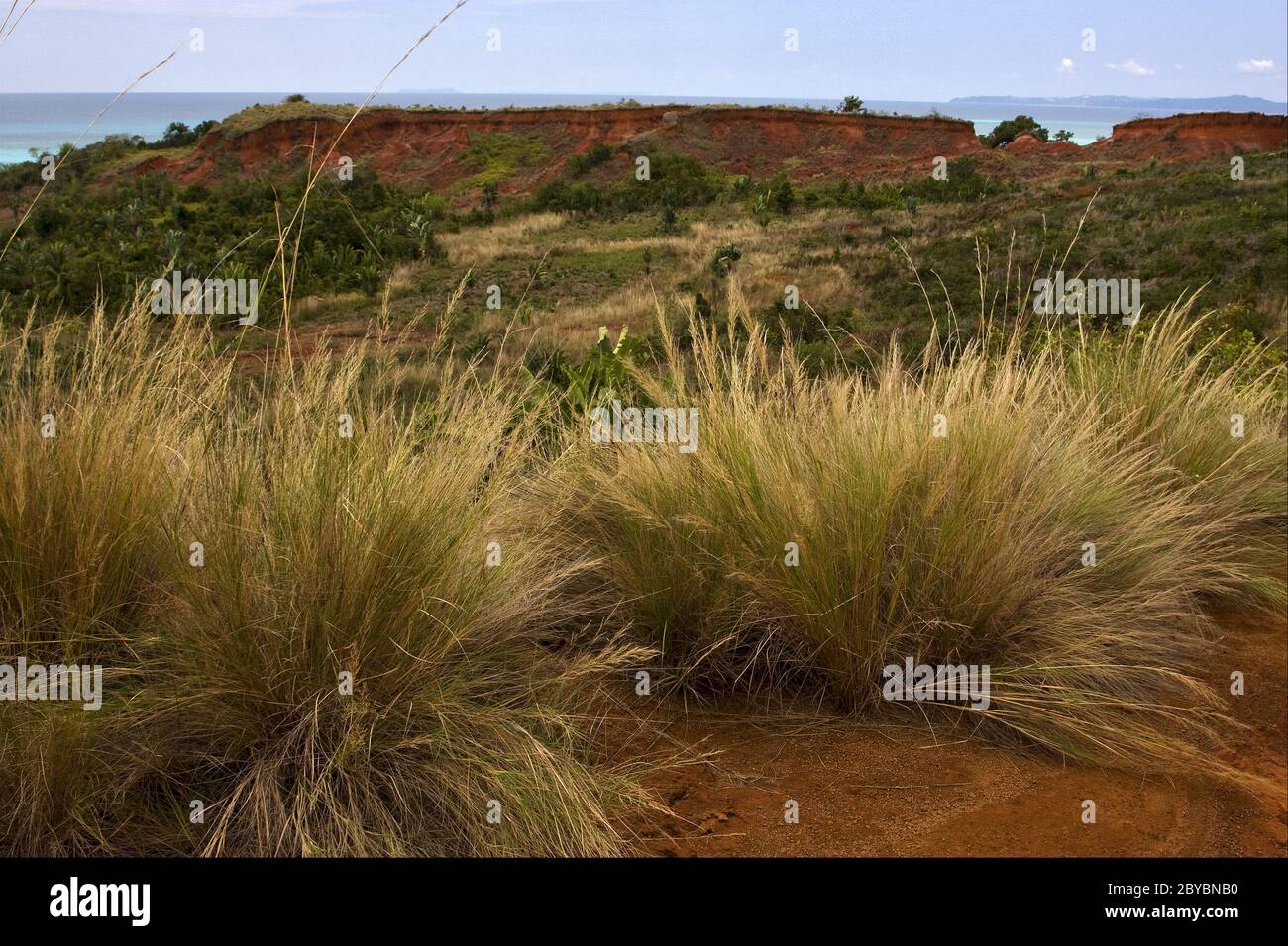 hill bush plant lagoon and coastline Stock Photo - Alamy